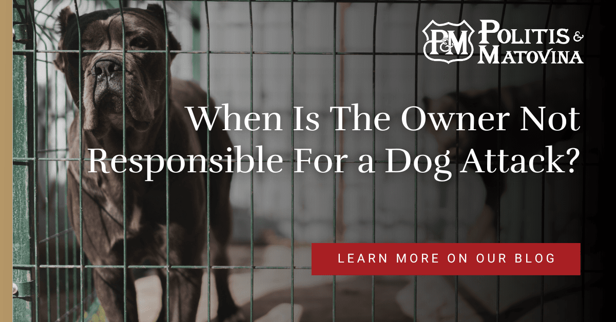 When Is The Owner Not Responsible For a Dog Attack?